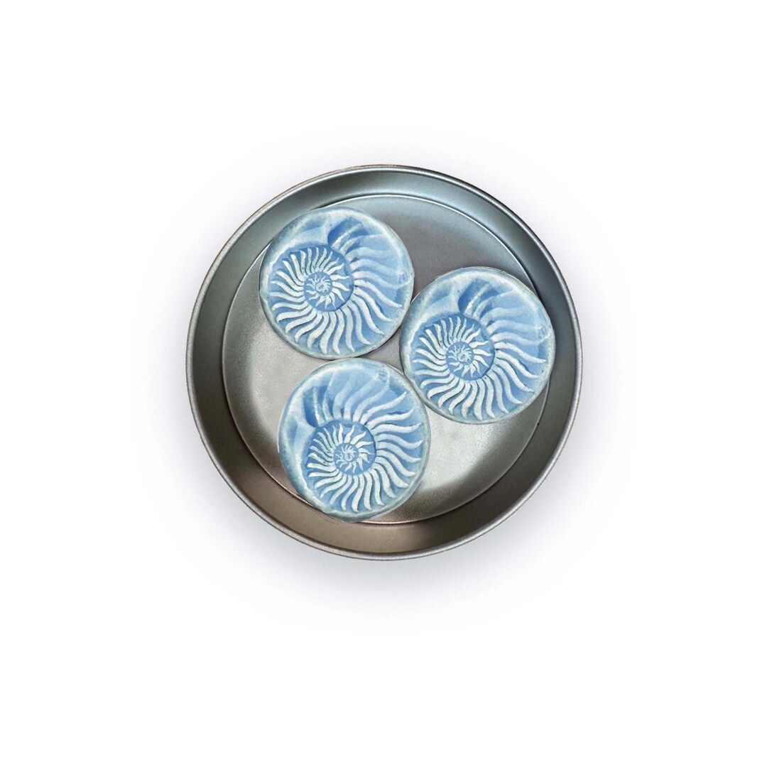 3 Magnets - Nautilus Shell Fridge Magnets | Handmade Blue Ceramic ...