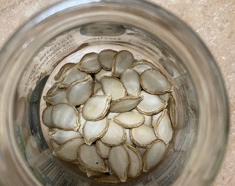 103lb Giant Butternut Squash Seeds - Etsy