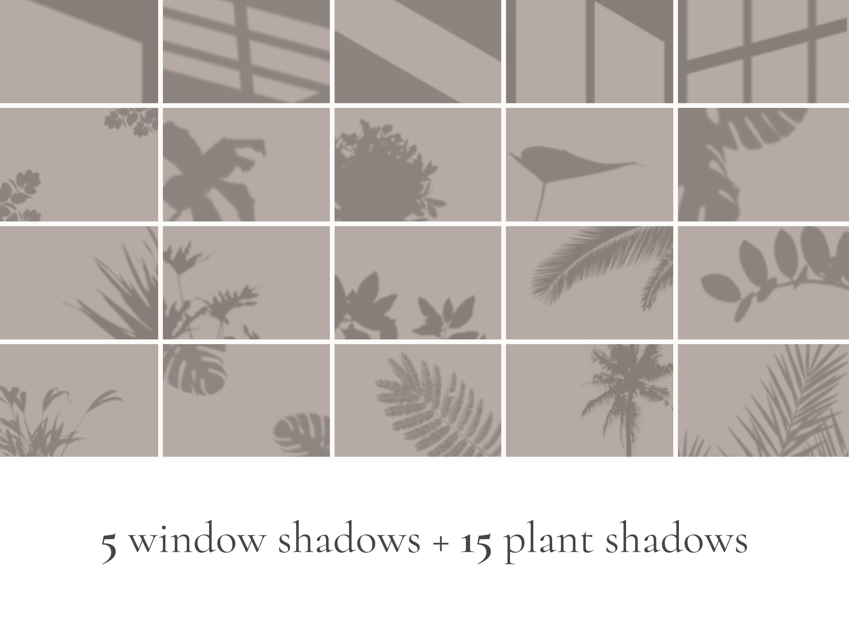 MINIMAL Inspirational Notion Covers | Beige Aesthetic | Motivational ...