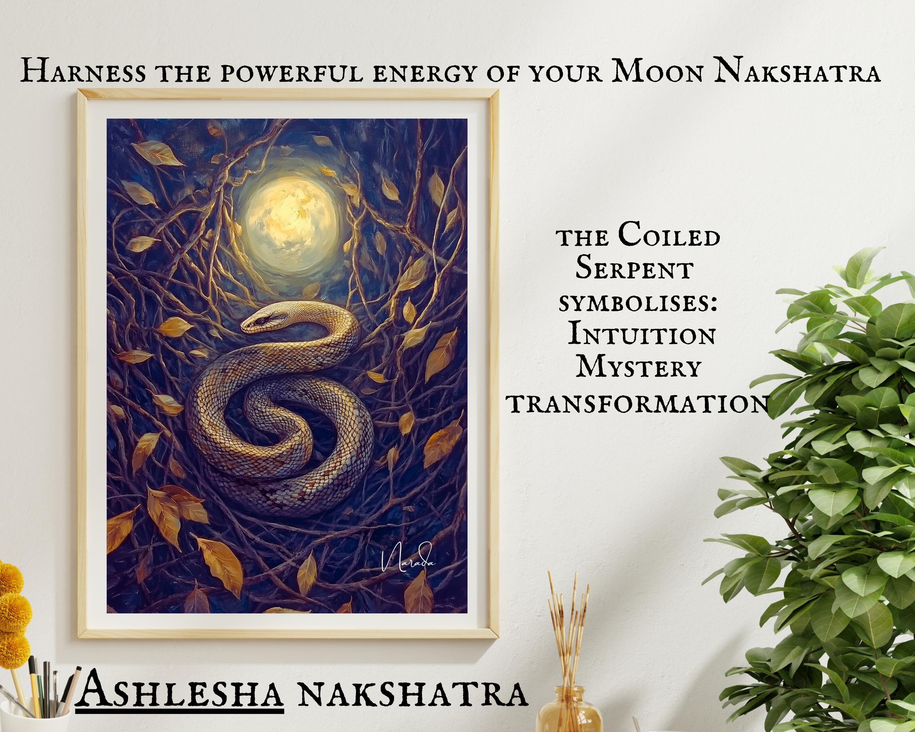 Moon Nakshatra Artwork, Custom Made Vedic Astrology Artwork, Vedic ...