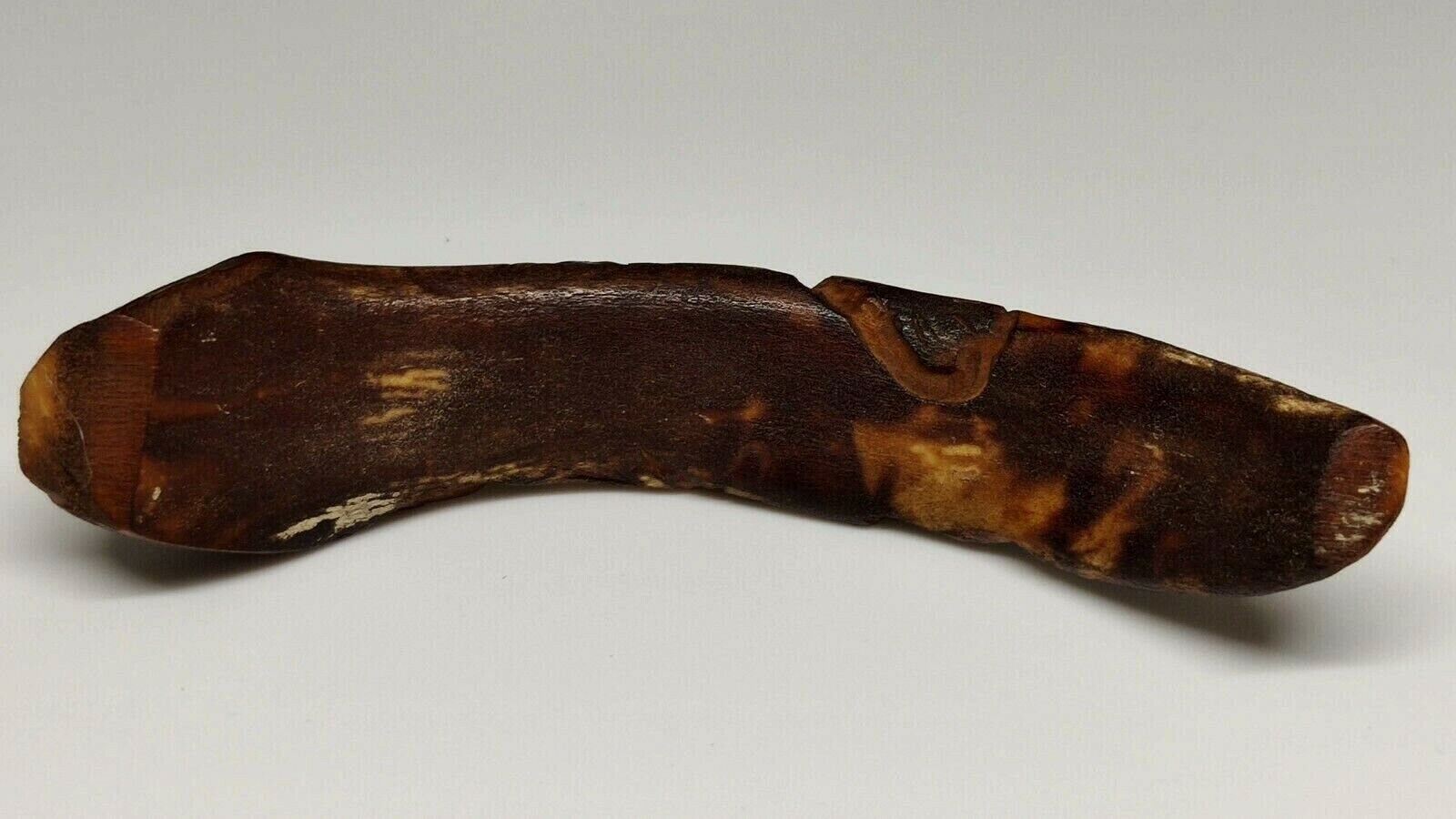 Part of a RARE Ancient Roman Object Depicting a Lizard. - Etsy
