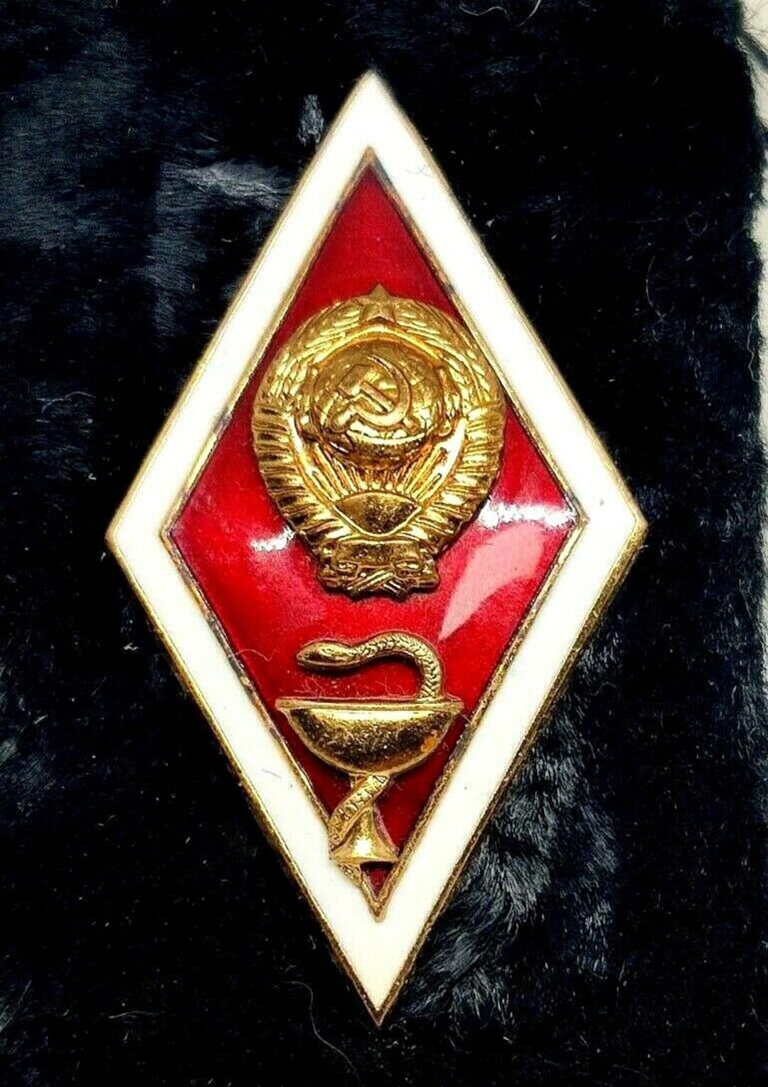 Soviet Badge. Rhombus. Educational Medical Institution of the USSR. - Etsy