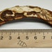Part of a RARE Ancient Roman Object Depicting a Lizard. - Etsy