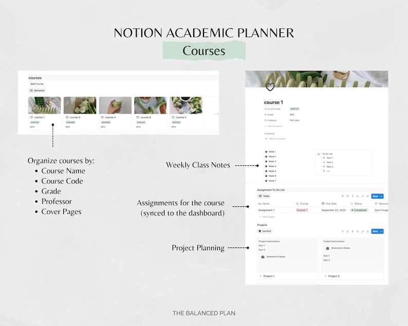 Back to School Student BUNDLE by the Balanced Plan | Notion Student ...