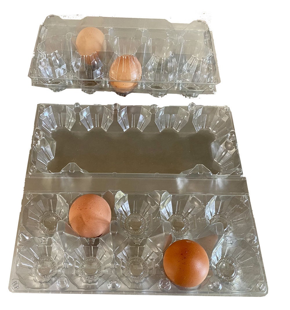 50X PLASTIC EGG CARTON, Plastic Storage, Farm Fresh Eggs Plastic ...