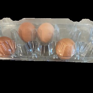 50X PLASTIC EGG CARTON, Plastic Storage, Farm Fresh Eggs Plastic ...