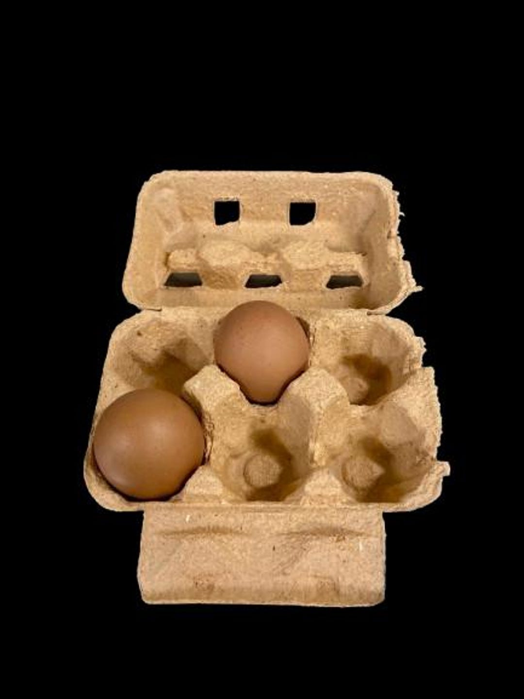 50x EGG CARTON ORANGE, Recycled Egg Tray, Pulp Boxes Egg Carton Holder ...