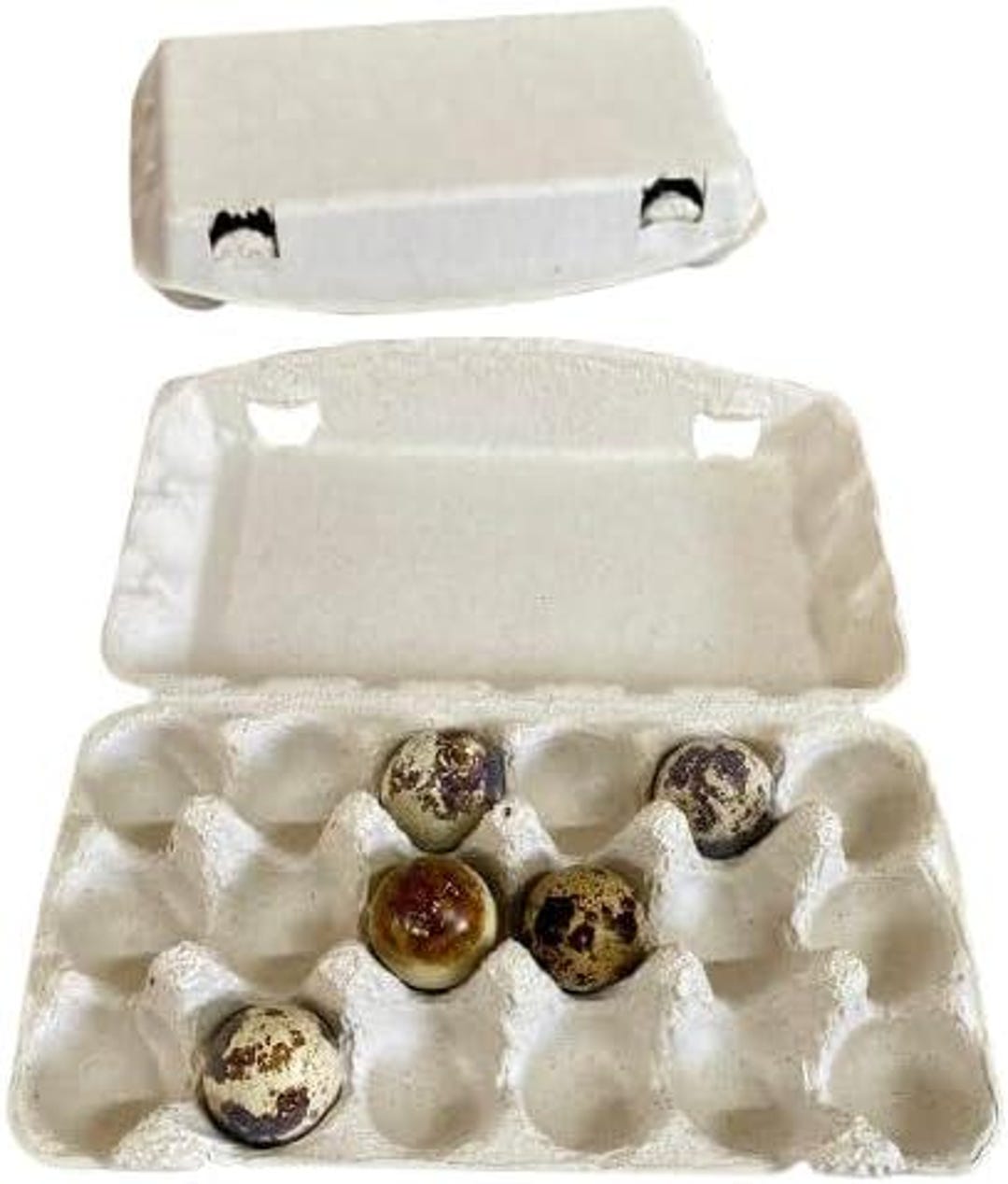 50x EGG TRAY Quail, Egg CARTON Quail, Egg Cartons Box Trays Reused ...