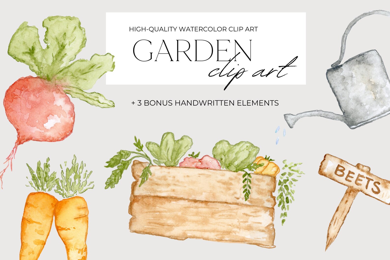 Clip Art Garden Vegetable Watercolor Illustrations Spring Clipart ...