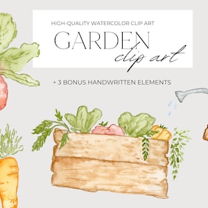 Clip Art Garden Vegetable Watercolor Illustrations Spring Clipart ...