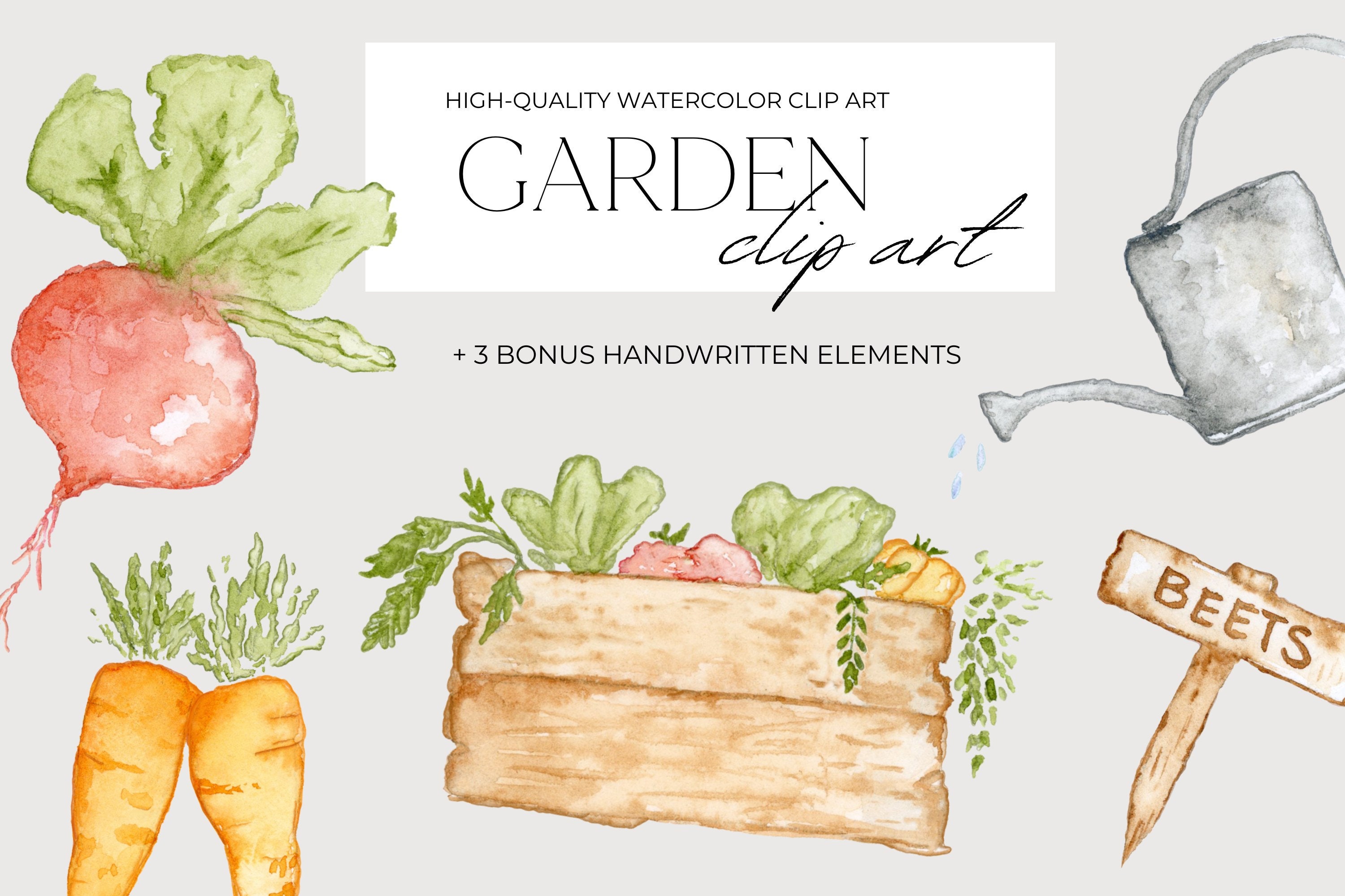 Clip Art Garden Vegetable Watercolor Illustrations Spring Clipart ...