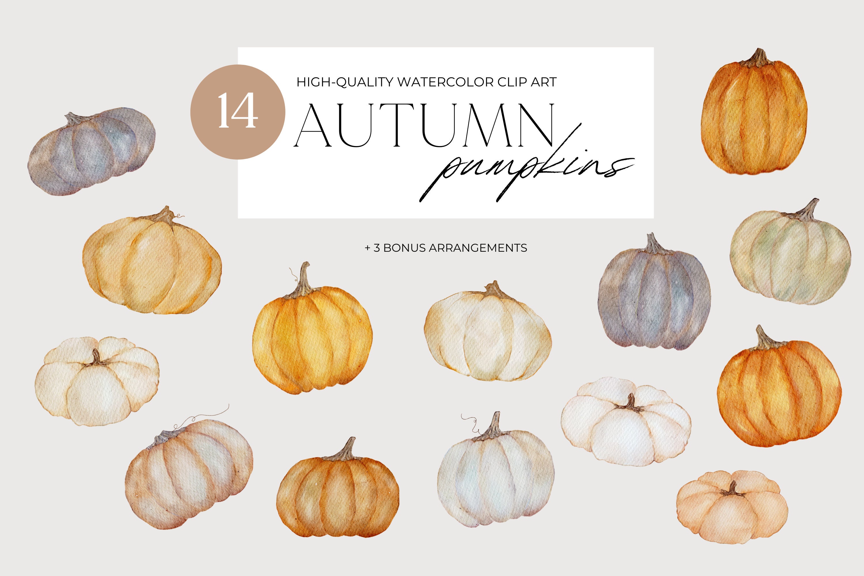 Clip Art Watercolor Pumpkins Fall Pumpkin Arrangements Baby Shower ...