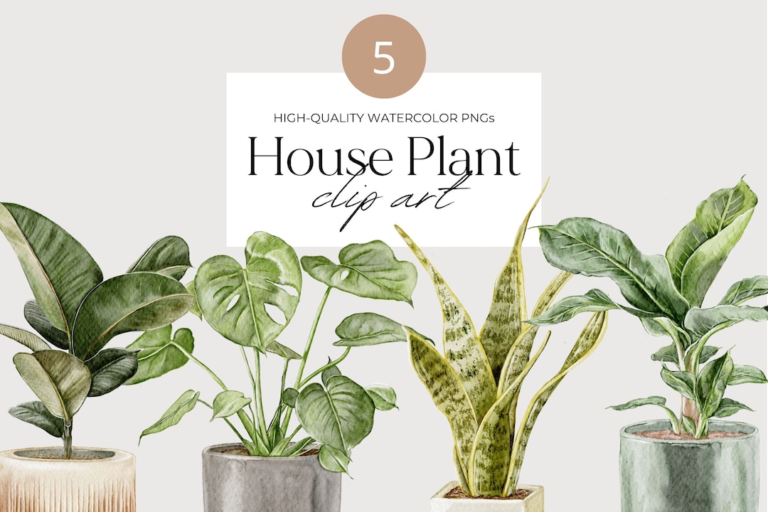 Clip Art Potted Plants Watercolor Clipart Houseplant PNG Indoor Plant ...