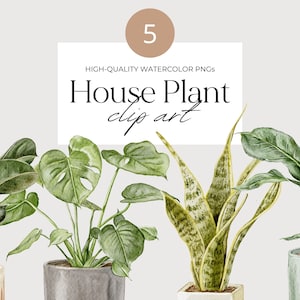 Clip Art Potted Plants Watercolor Clipart Houseplant PNG Indoor Plant ...