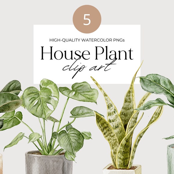 Houseplant - Etsy