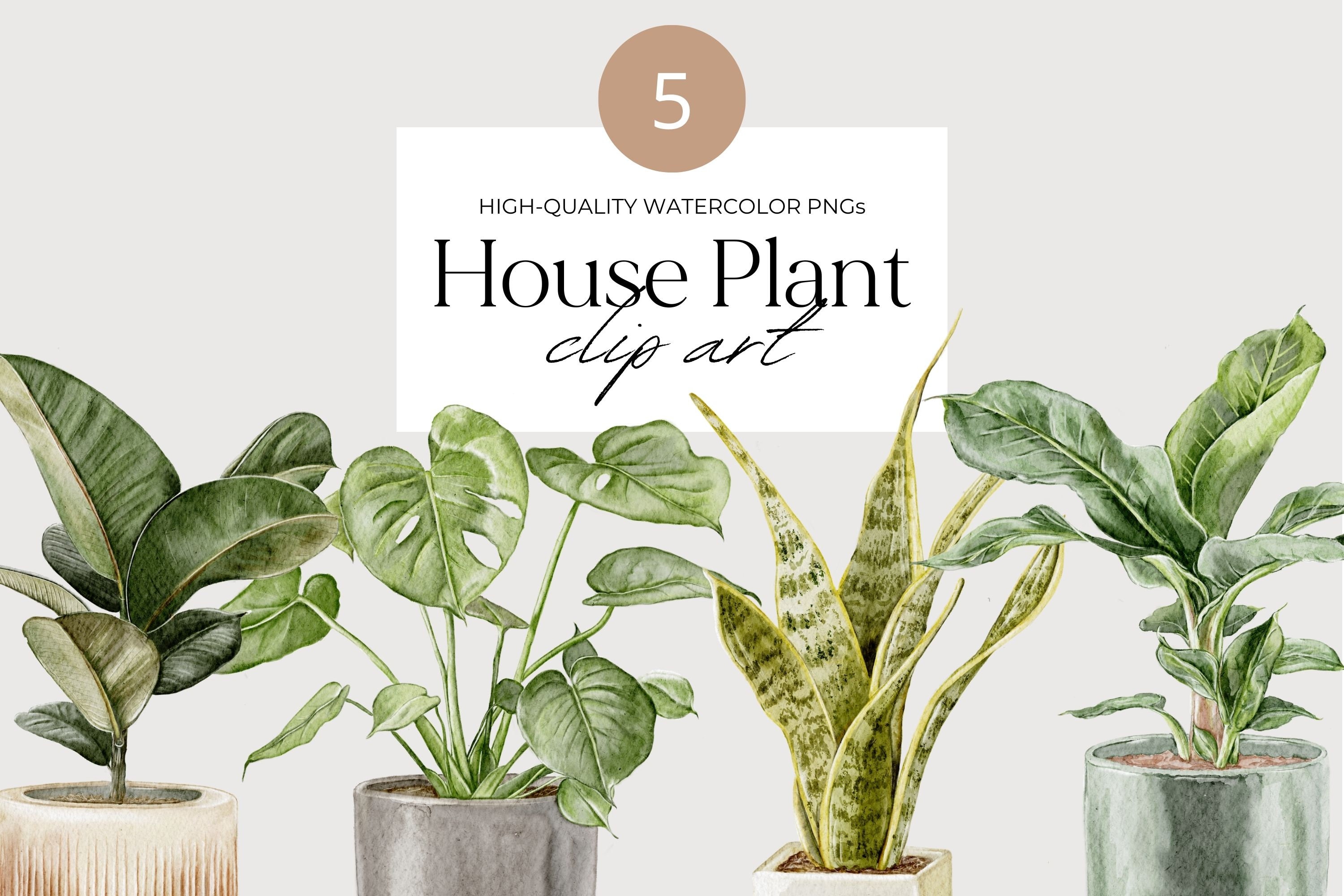 Potted Plants Watercolor Clipart, Houseplant PNG, Indoor Plant Clipart ...