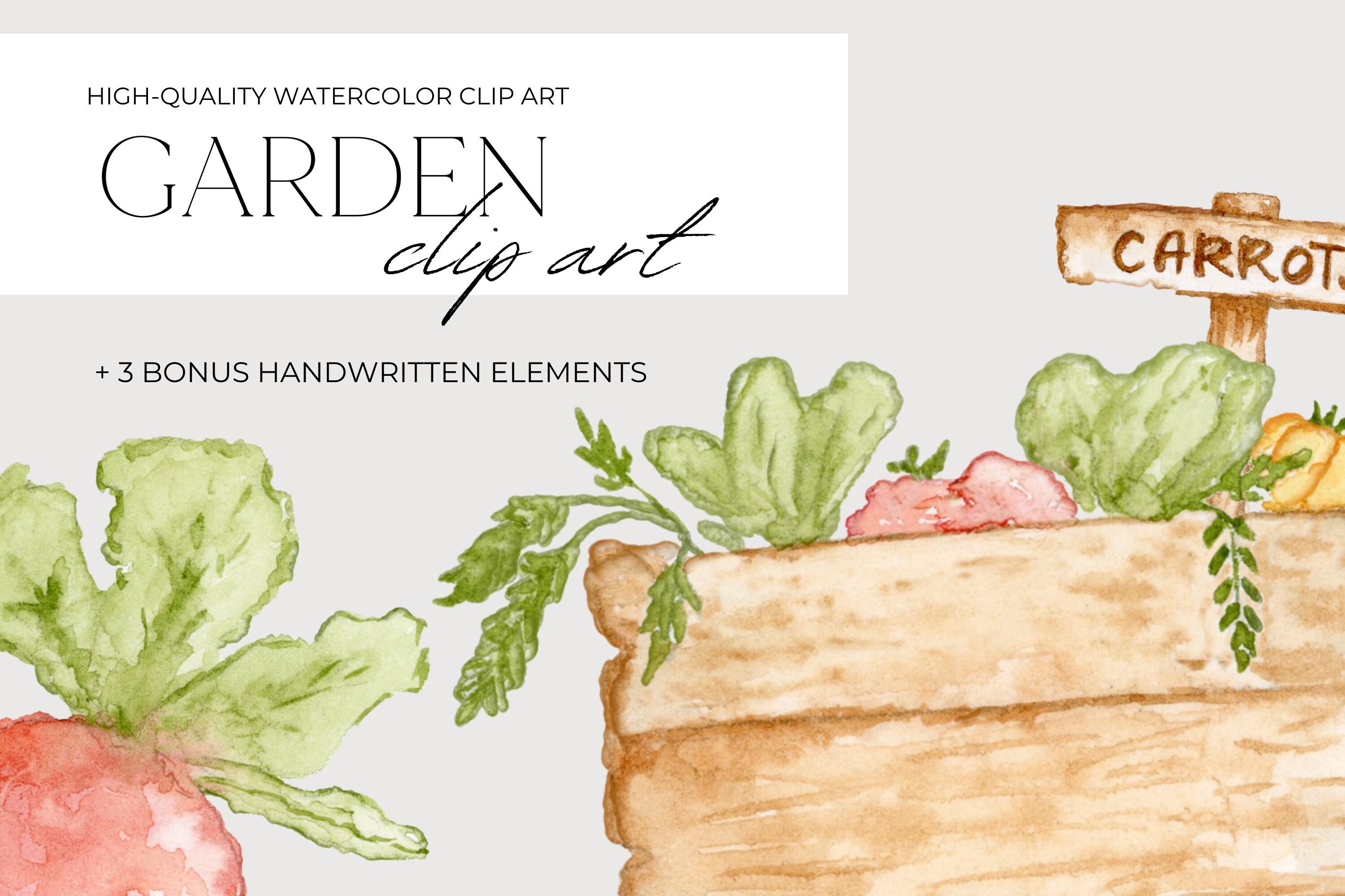 Clip Art Garden Vegetable Watercolor Illustrations Spring Clipart ...