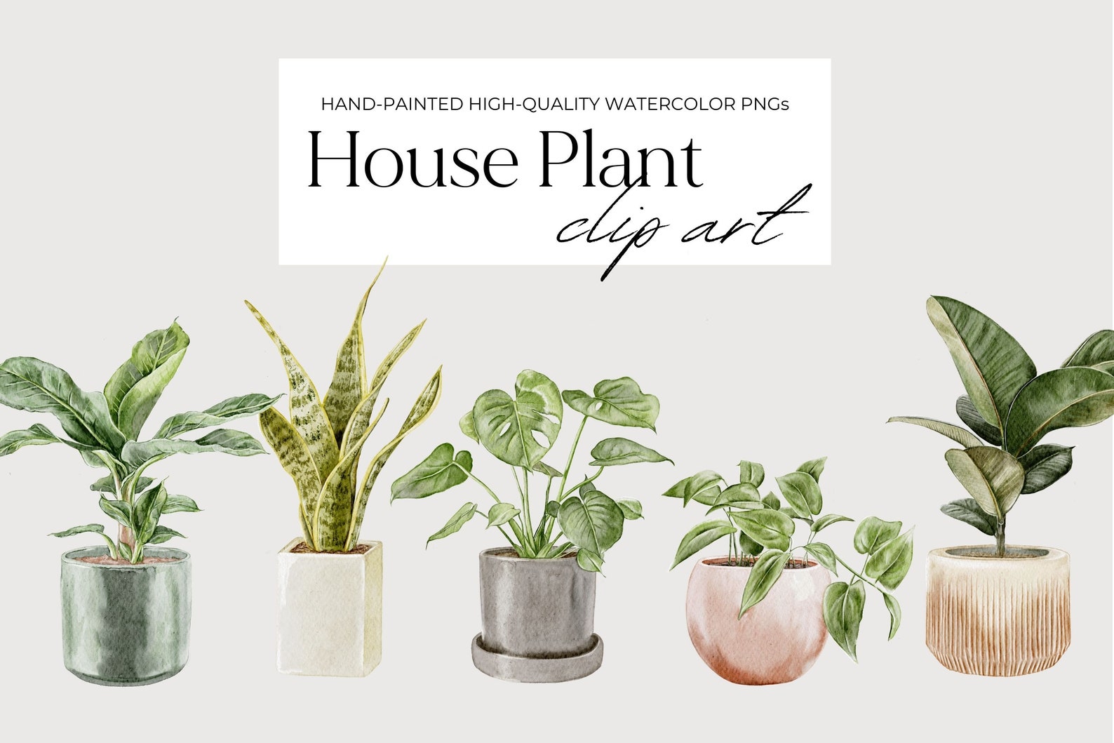 Clip Art Potted Plants Watercolor Clipart Houseplant PNG Indoor Plant ...
