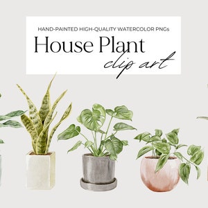 Clip Art Potted Plants Watercolor Clipart Houseplant PNG Indoor Plant ...