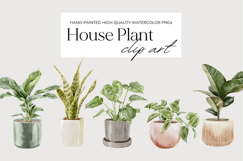 Clip Art Potted Plants Watercolor Clipart Houseplant PNG Indoor Plant ...