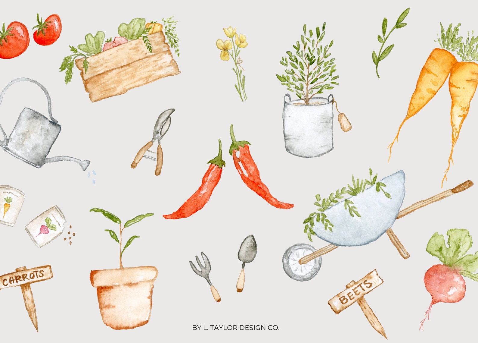 Clip Art Garden Vegetable Watercolor Illustrations Spring Clipart ...