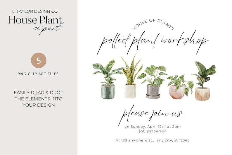 Clip Art Potted Plants Watercolor Clipart Houseplant PNG Indoor Plant ...