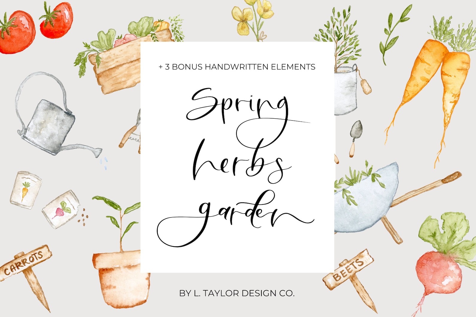 Clip Art Garden Vegetable Watercolor Illustrations Spring Clipart ...