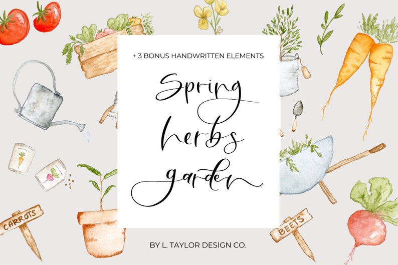 Clip Art Garden Vegetable Watercolor Illustrations Spring Clipart ...