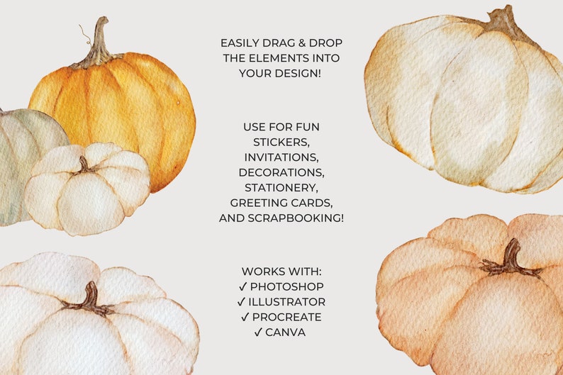 Clip Art Watercolor Pumpkins Fall Pumpkin Arrangements Baby Shower ...