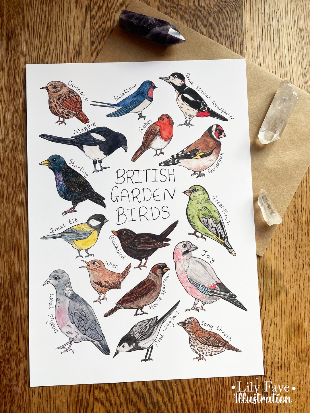 A4 Size British Garden Bird Identification Guide | Illustration Art ...