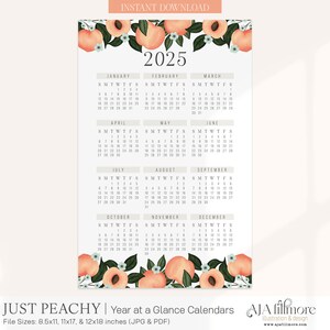 2025 Year at a Glance Calendar, 2025 Wall Calendar, 2025 Digital Wall ...