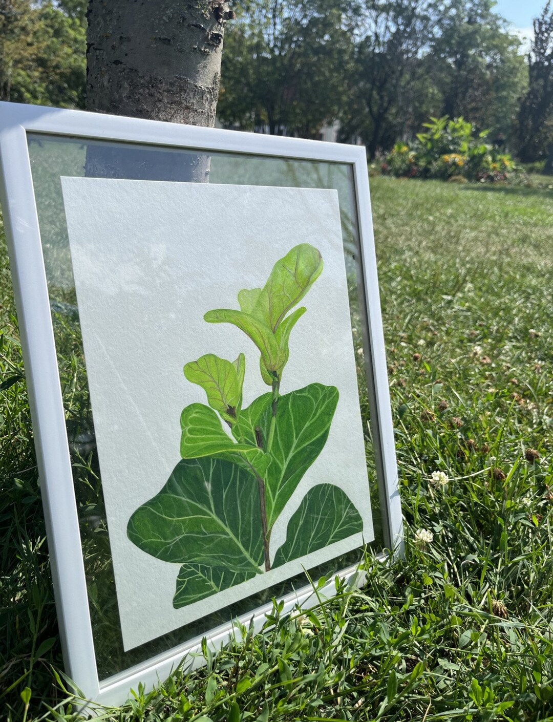 Fiddle Leaf Fig Tree Printable Art, Watercolor Botanical Wall Decor ...