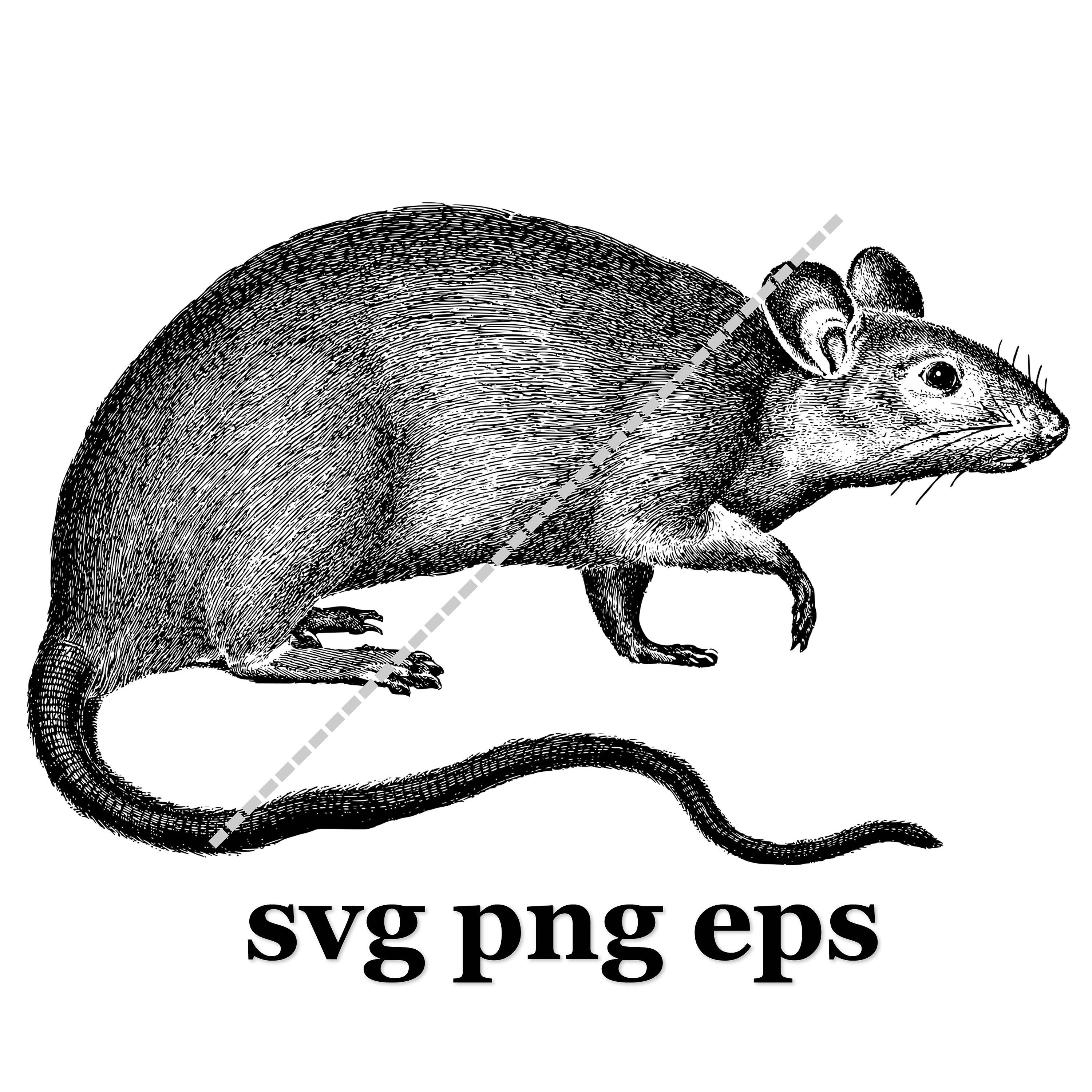 Rat SVG PNG EPS - Etsy