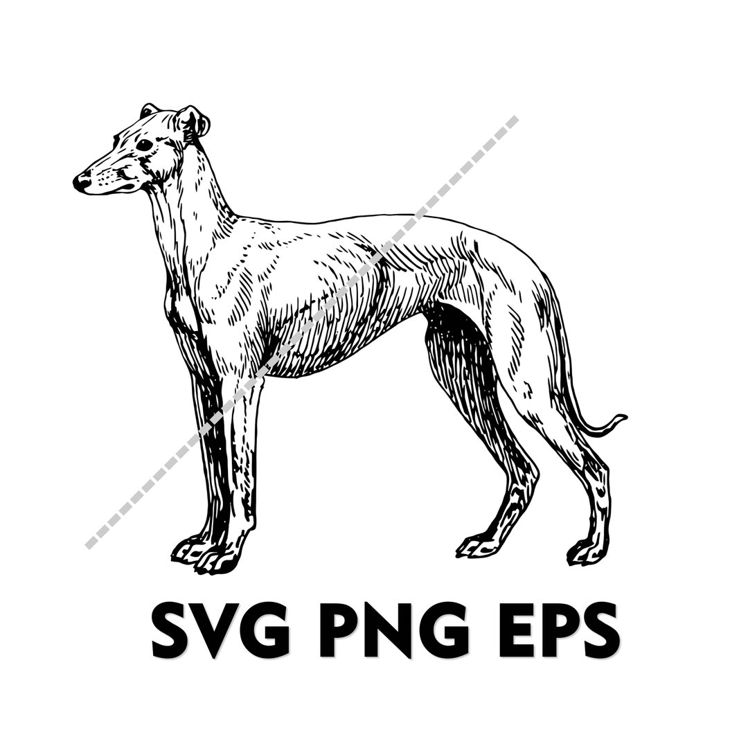 Greyhound Dog SVG PNG EPS - Etsy