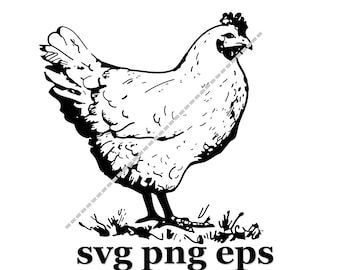 Pollo SVG, Dibujo de pollo vintage, Ilustración de pollo dibujado a ...