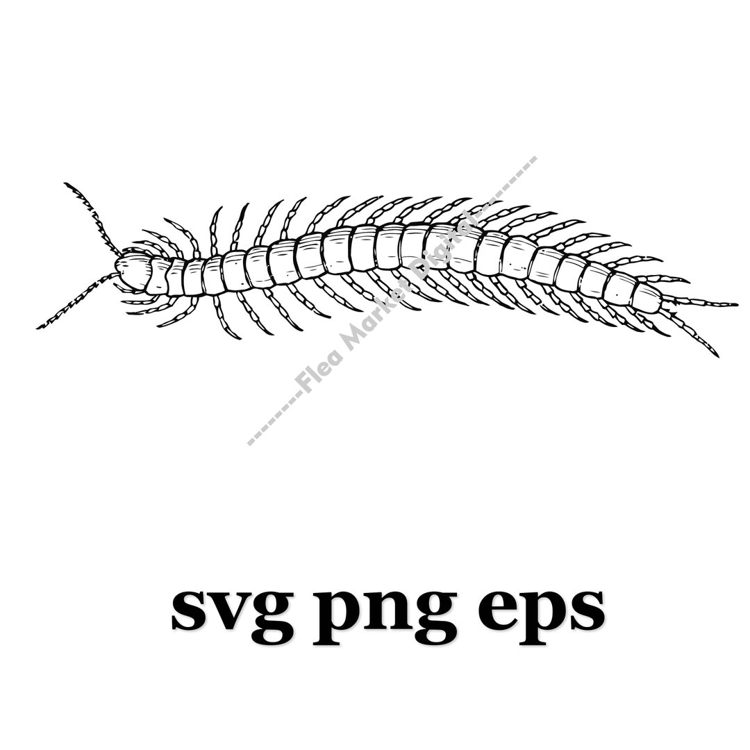 Insect Bug Centipede SVG PNG EPS Clipart 1 - Etsy