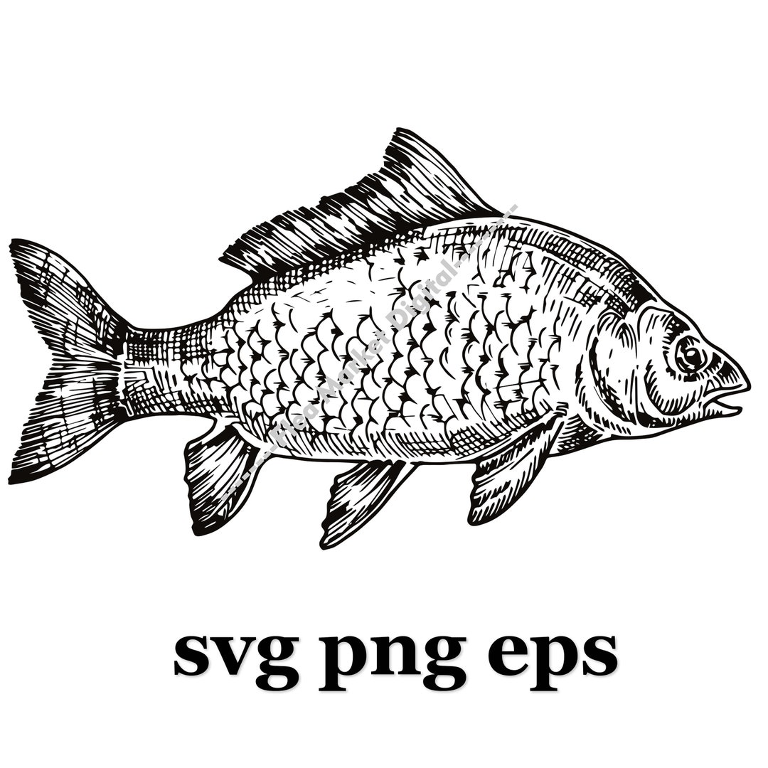 Carp Fish SVG PNG EPS - Etsy