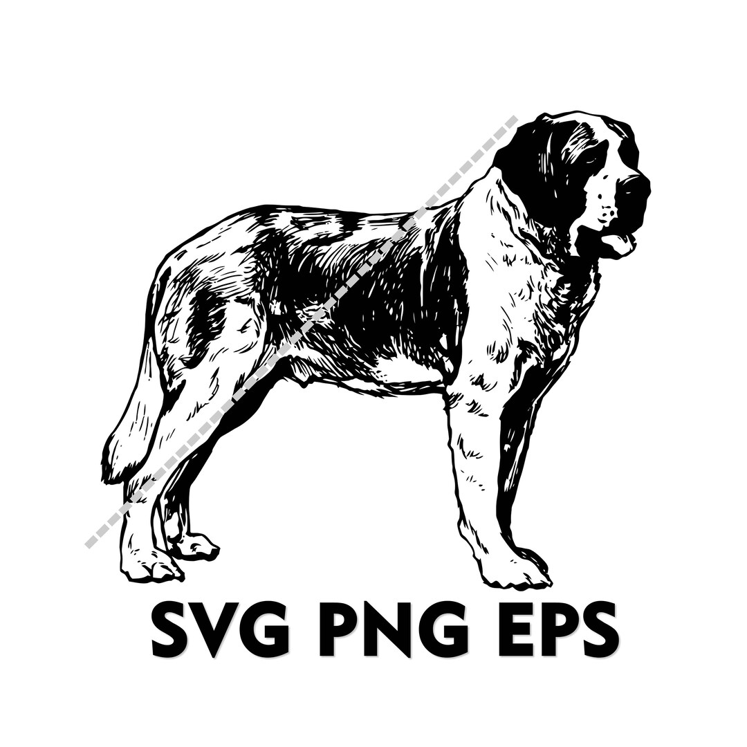 St Bernard Dog SVG PNG EPS - Etsy
