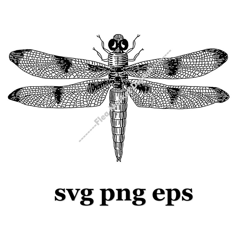 Insect Bug Dragonfly SVG PNG EPS Clipart 1 - Etsy