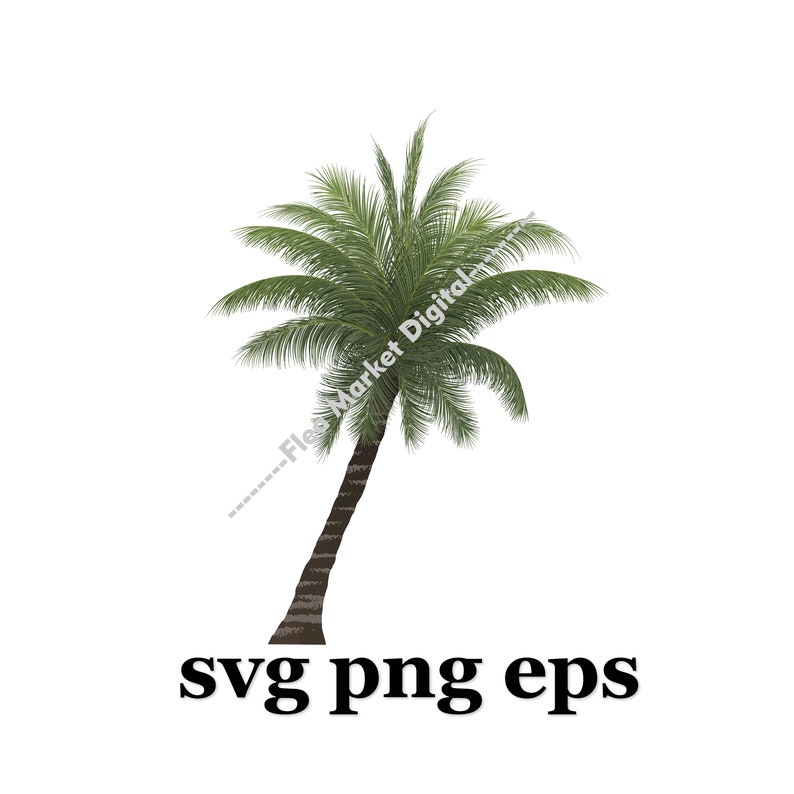 Palmera SVG PNG EPS Clipart - Etsy México