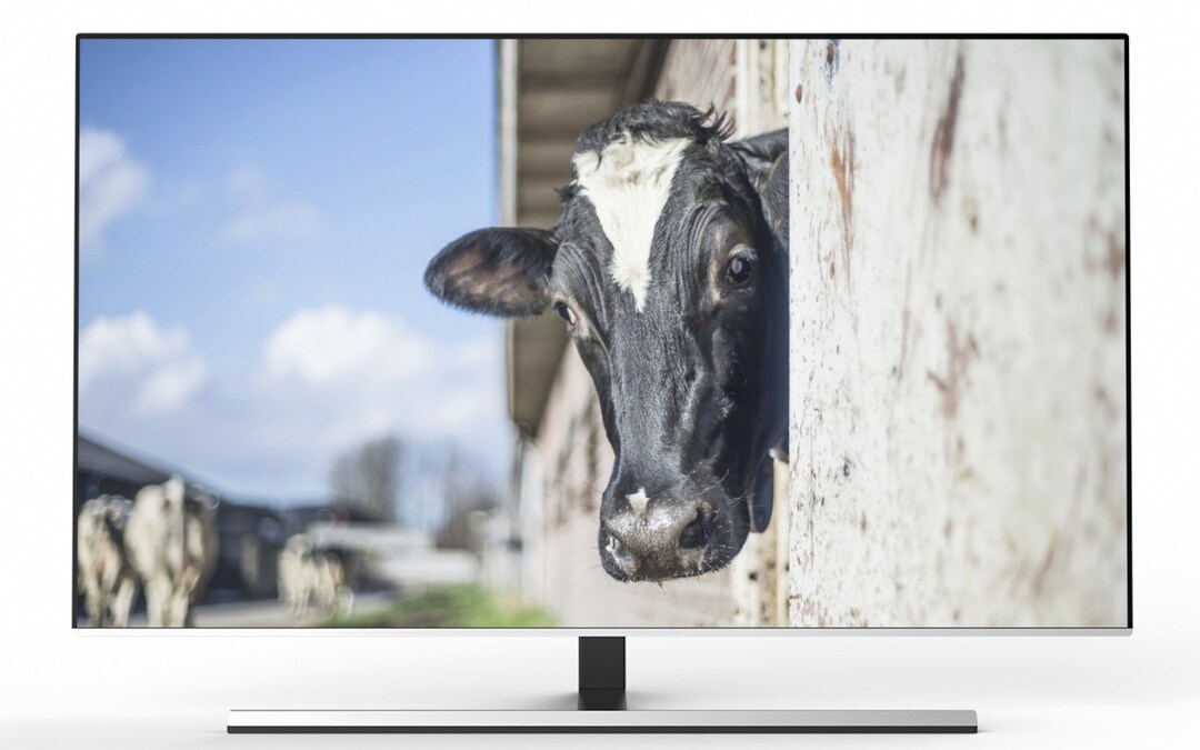 Cow Poking Its Head, Farmhouse Clipart Samsung Frame TV Art Landscape ...