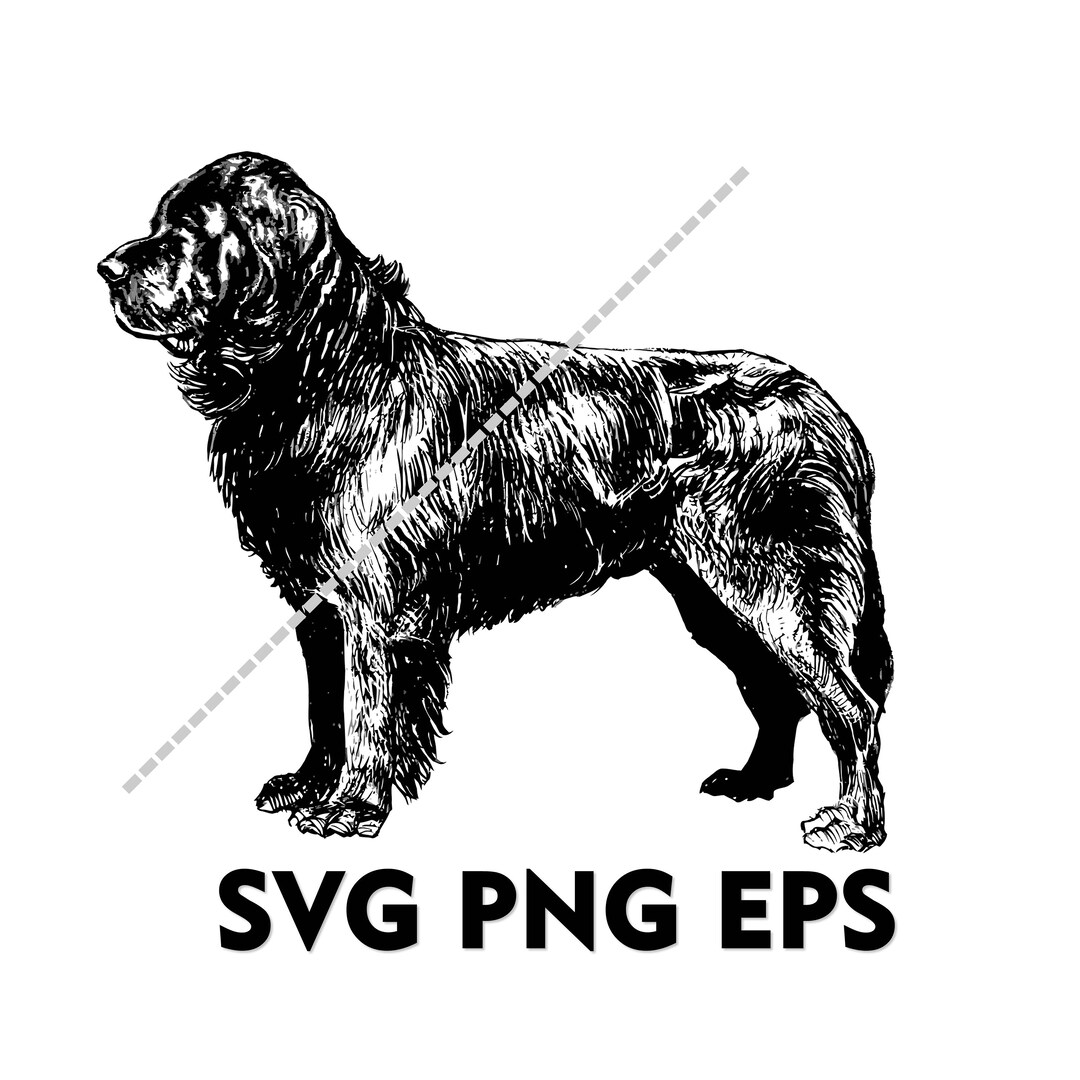 Newfoundland Dog SVG PNG EPS - Etsy