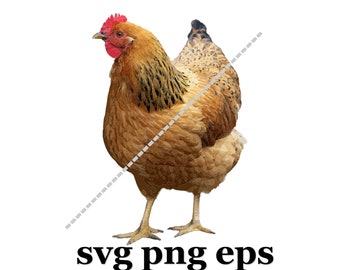 Chicken SVG, Cartoon Chicken Clipart, Vector Chicken Thumbs up Cut File ...