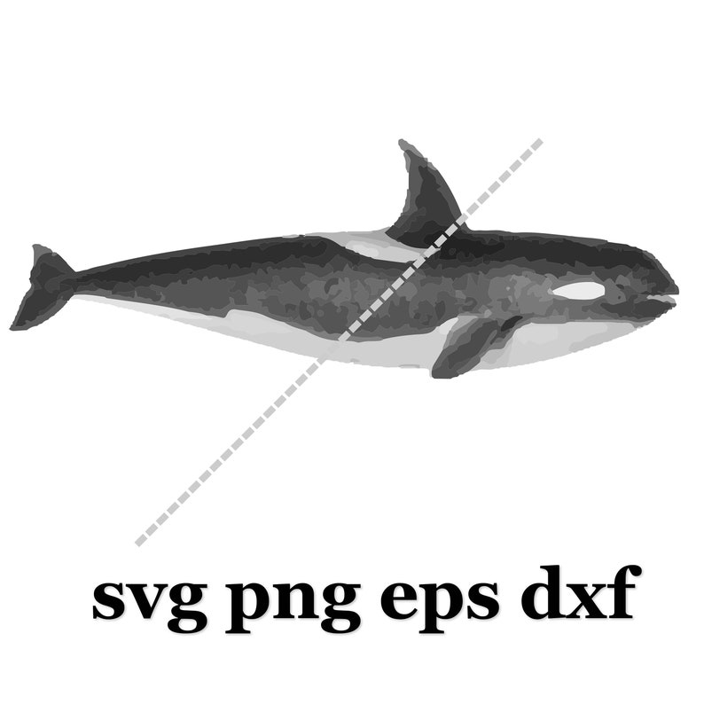 Orca Killer Whale SVG PNG EPS Dxf - Etsy