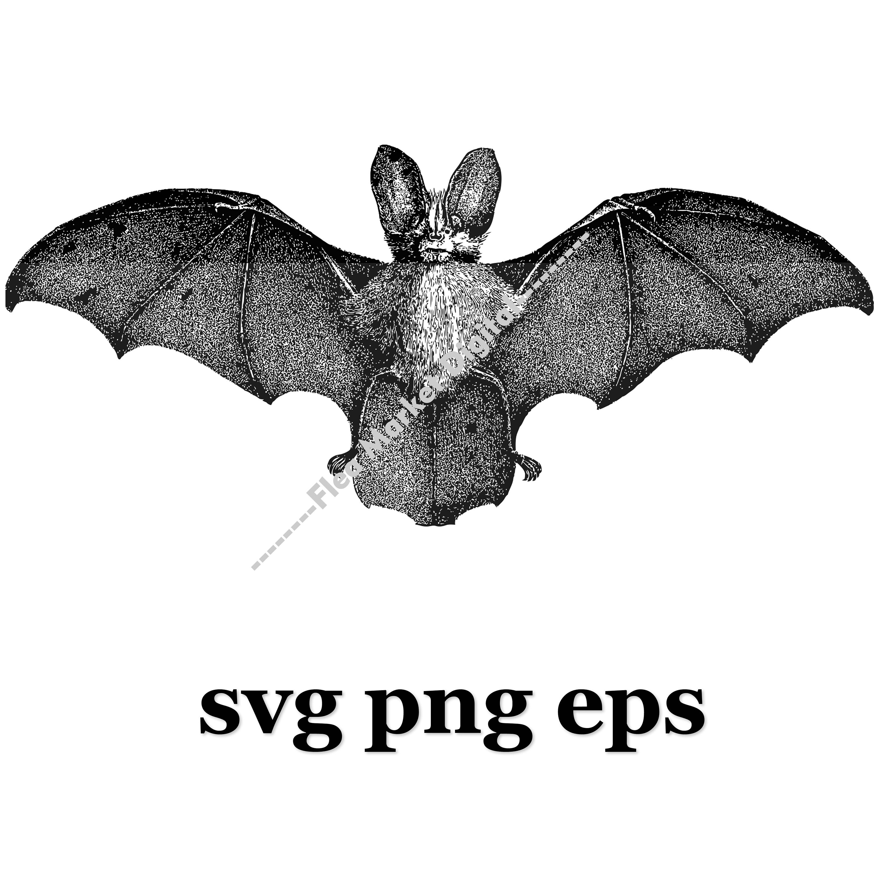 Bat SVG PNG EPS Clipart 2 - Etsy