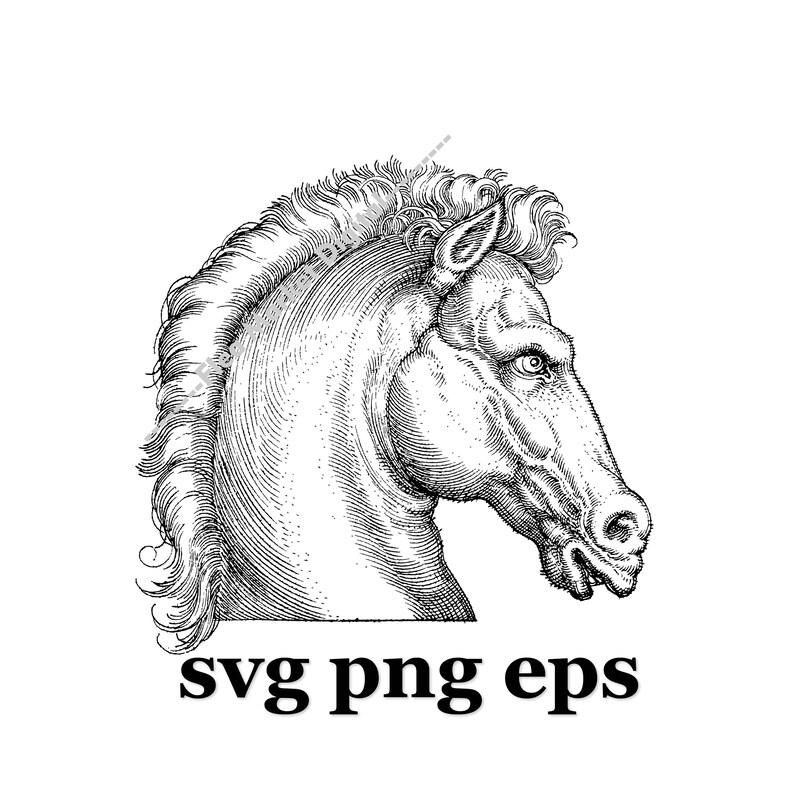Hand Drawn Horse Head Face SVG PNG EPS - Etsy Australia
