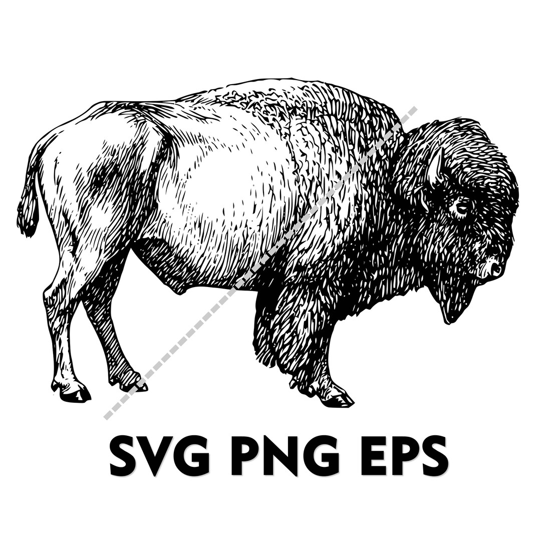 Bison SVG PNG EPS - Etsy