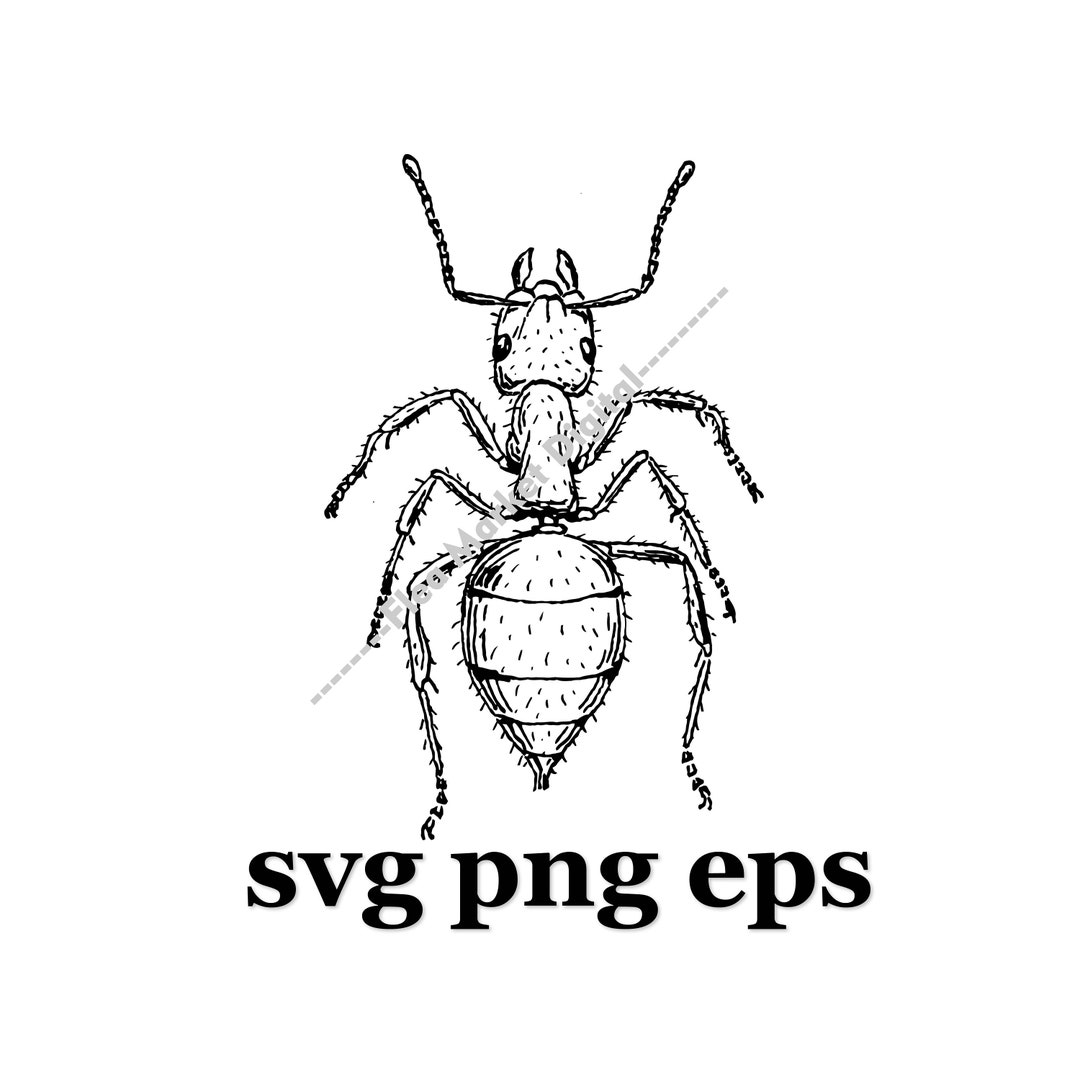 Ant SVG PNG EPS Clipart - Etsy