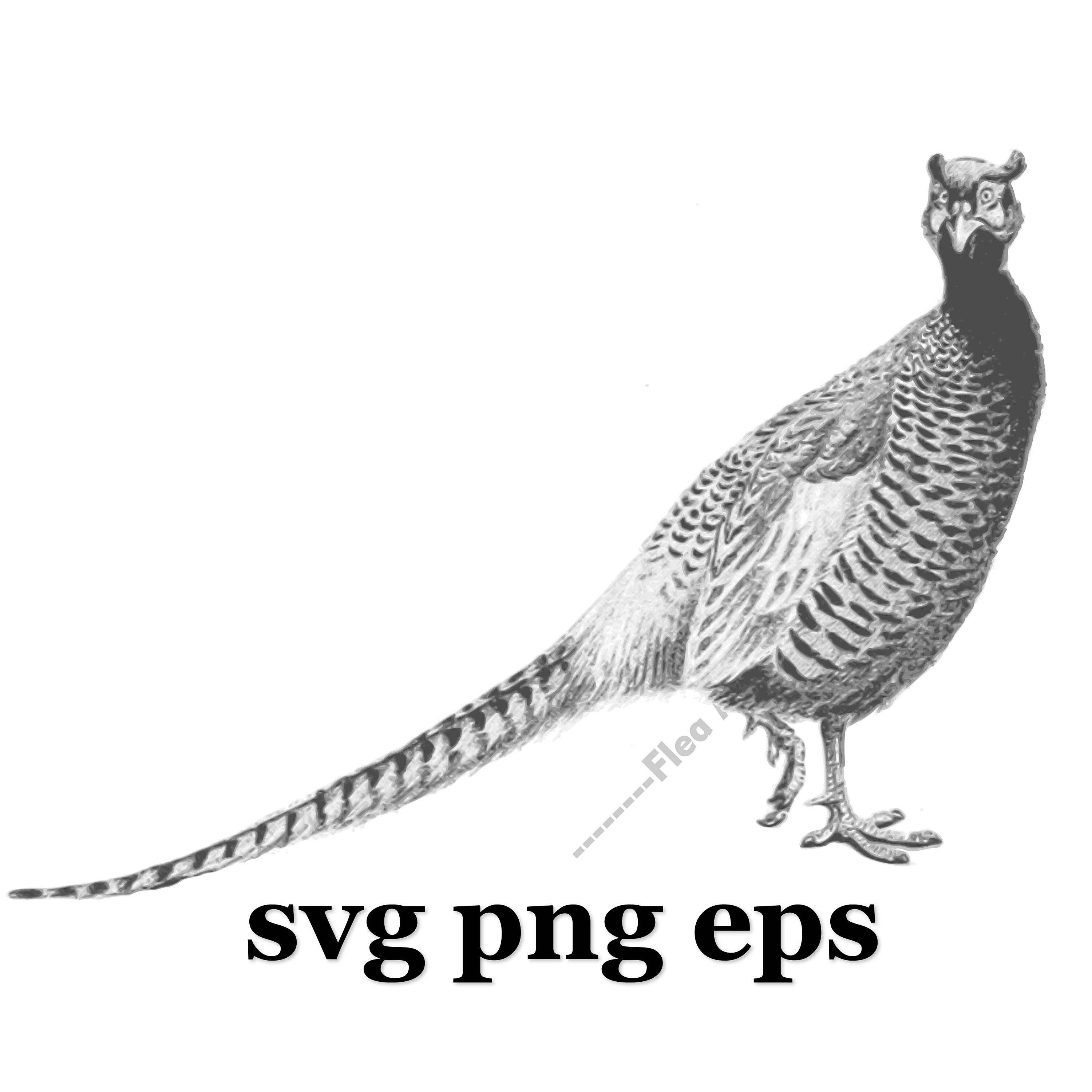 Pheasant SVG PNG EPS Clipart Logo 1 - Etsy UK