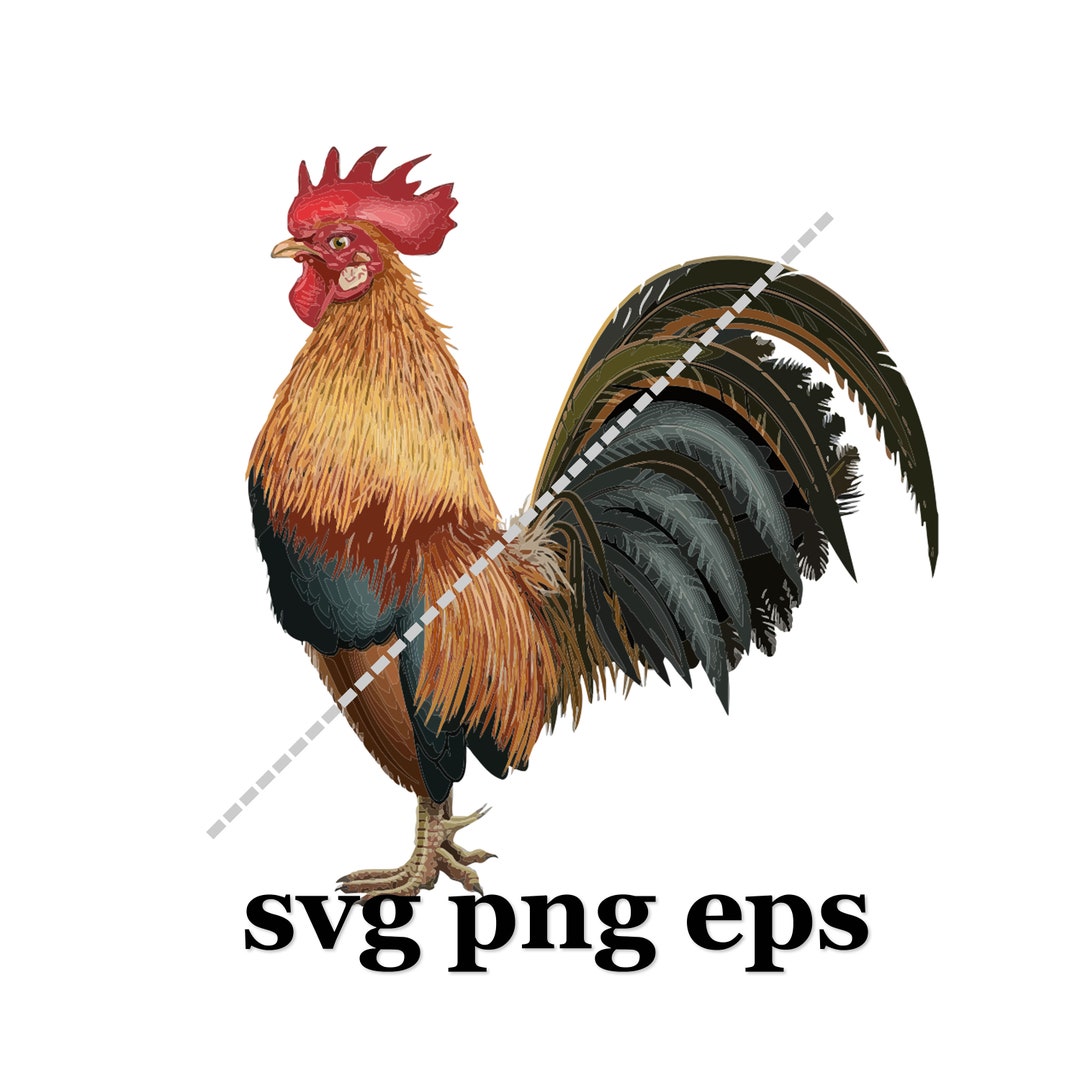 Cute Rooster SVG PNG EPS - Etsy